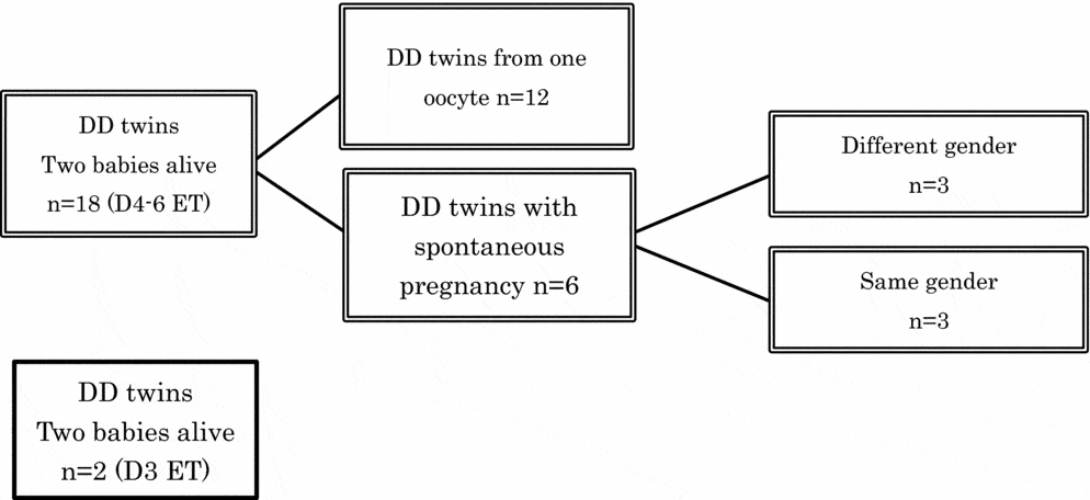 The Precise Timing of Embryo Splitting for Monozygotic Dichorionic ...