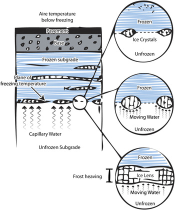 Ice-templating, freeze casting: Beyond materials processing | Journal ...