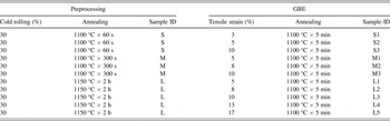 Effect of initial grain sizes on the grain boundary network during ...
