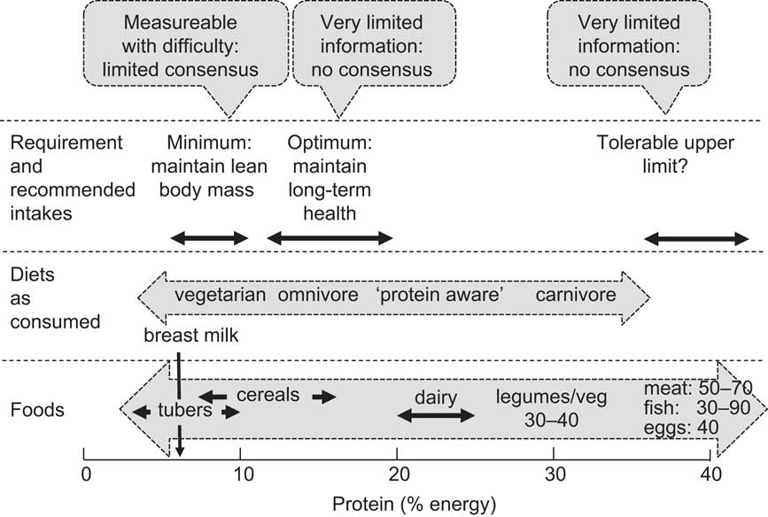 The use of protein:energy ratios for defining protein requirements ...