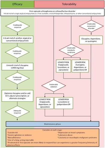 “Meta-guidelines” for the management of patients with schizophrenia ...