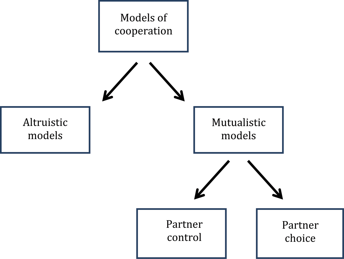 A mutualistic approach to morality: The evolution of fairness by ...