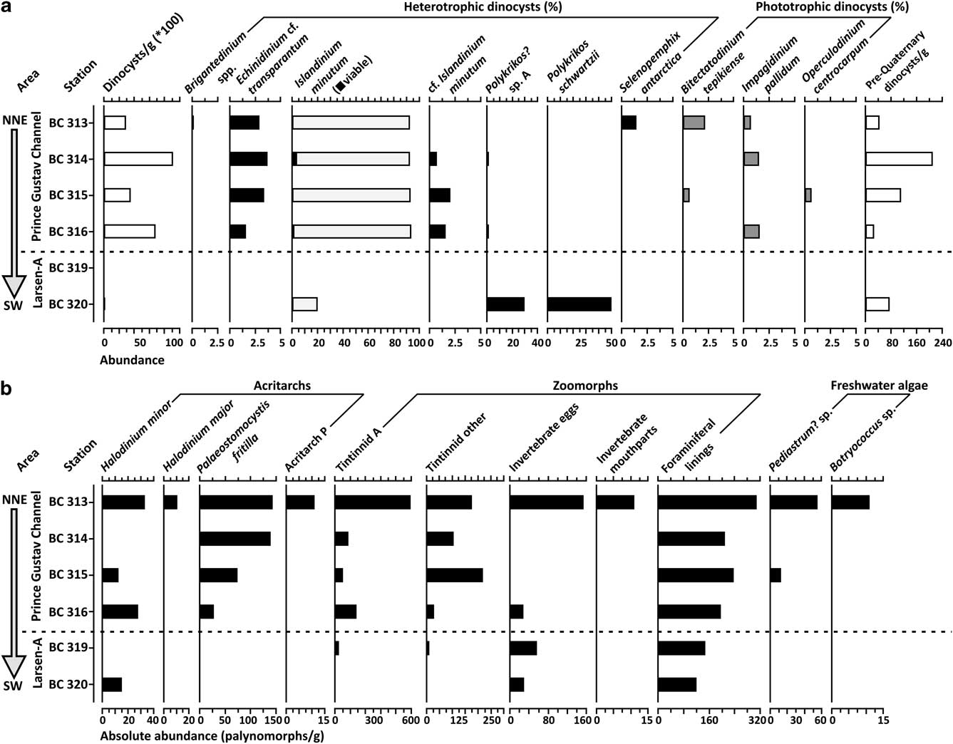 Organic-walled microfossils from the north-west Weddell Sea, Antarctica ...