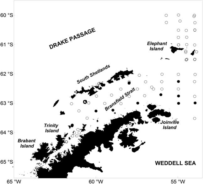 Early life history of the ocellated icefish, Chionodraco rastrospinosus ...