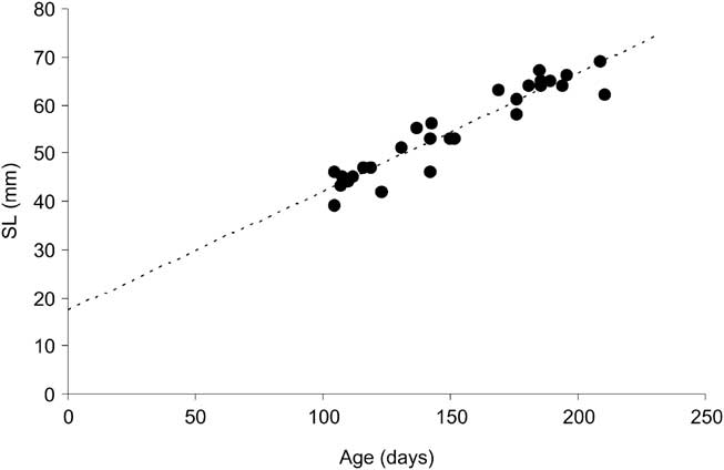 Early life history of the ocellated icefish, Chionodraco rastrospinosus ...