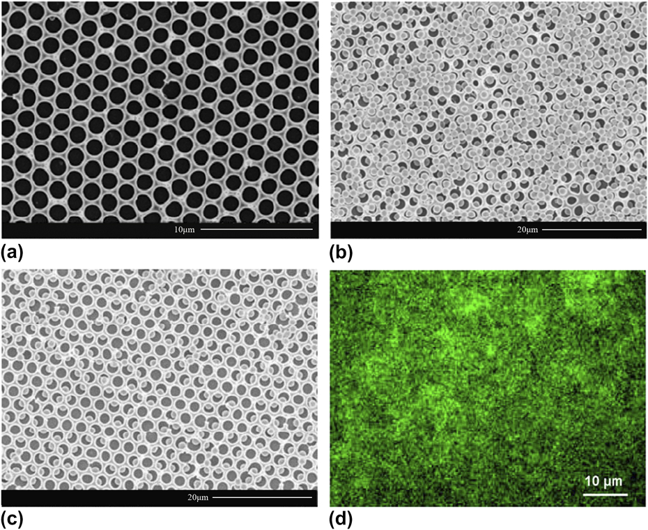 Surface functionalization of cross-linked polystyrene microspheres via ...