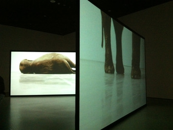 Play Dead: Dance, Museums, and the “Time-Based Arts” | Dance Research ...