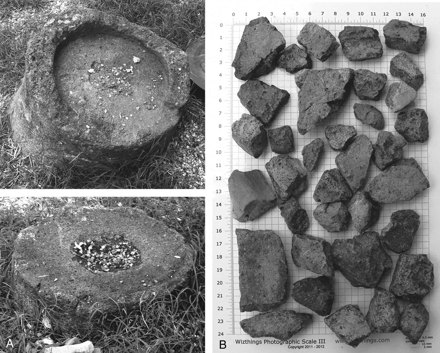 MINOR CENTRES IN THE PONTINE PLAIN: THE CASES OF FORUM APPII AND AD ...