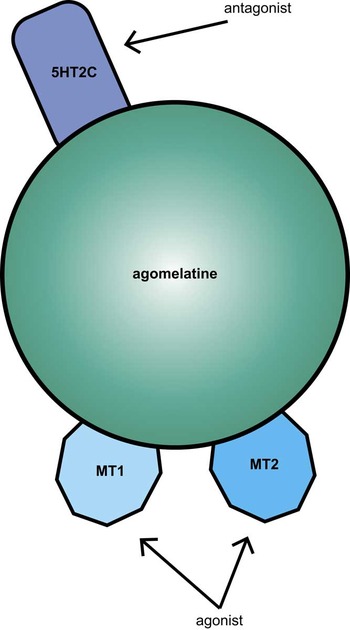 Mechanism of action of agomelatine: a novel antidepressant exploiting ...