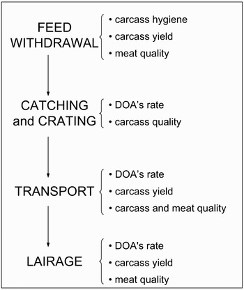 Pre-slaughter handling and slaughtering factors influencing poultry ...