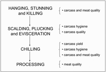Pre-slaughter handling and slaughtering factors influencing poultry ...