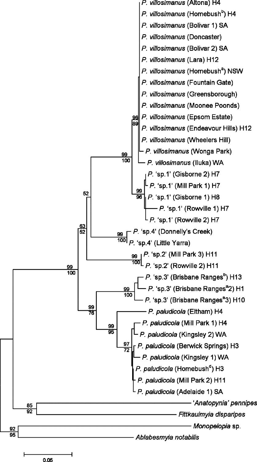 A combination of molecular and morphological approaches resolves ...