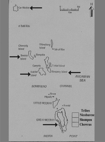 Farming system of Nicobari fowl – an endangered breed of Andaman and ...