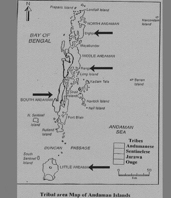 Farming system of Nicobari fowl – an endangered breed of Andaman and ...