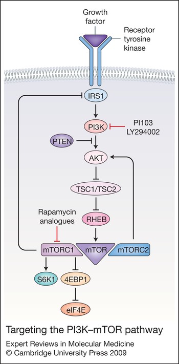 Malignant peripheral nerve sheath tumour (MPNST): the clinical ...