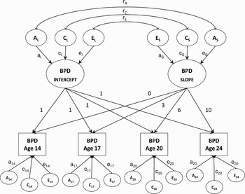 Stability, change, and heritability of borderline personality disorder ...