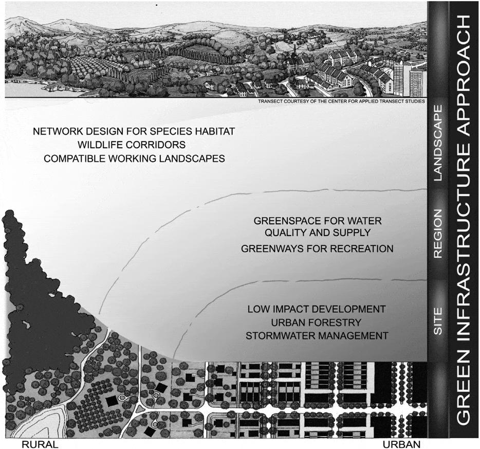 ENVIRONMENTAL REVIEWS AND CASE STUDIES: Advancing Green Infrastructure ...