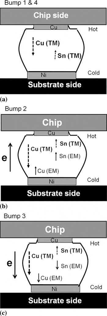 Thermomigration of Cu–Sn and Ni–Sn intermetallic compounds during ...