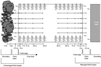 Influence of field margin type on weed species richness and abundance ...