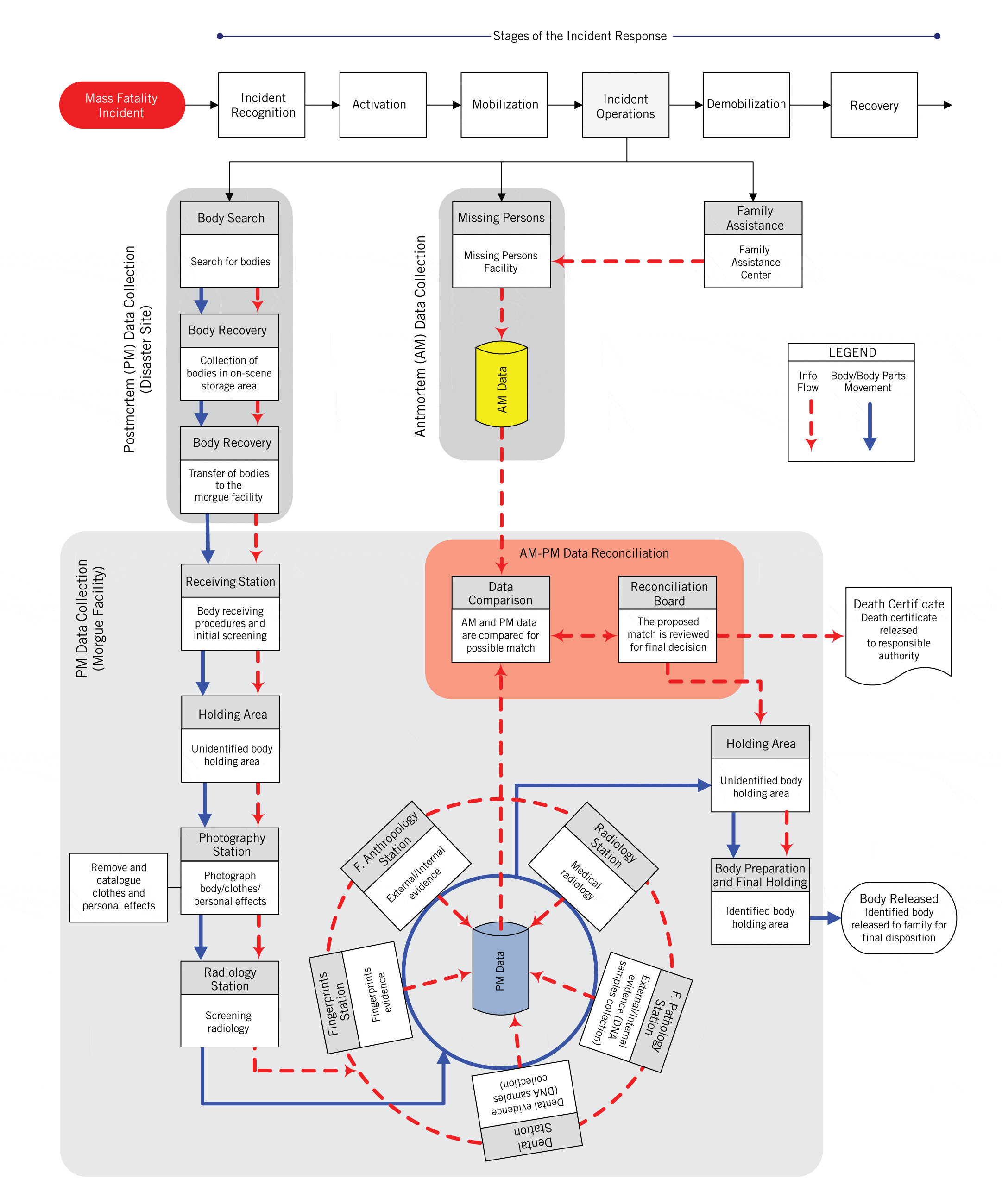 Rapid Disaster Victim Identification in Mass Fatality Incidents ...