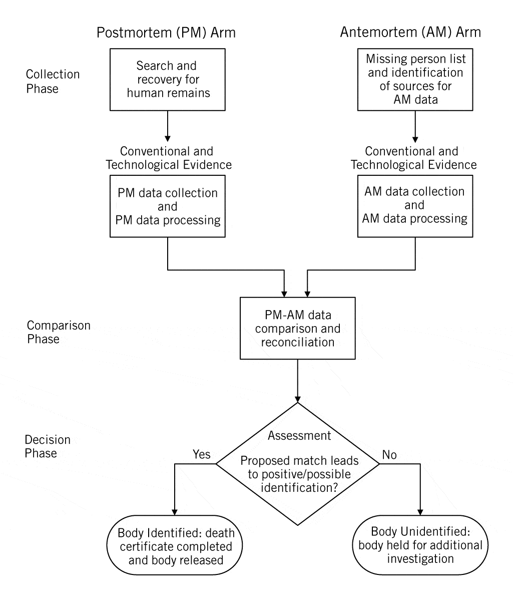 Rapid Disaster Victim Identification in Mass Fatality Incidents ...