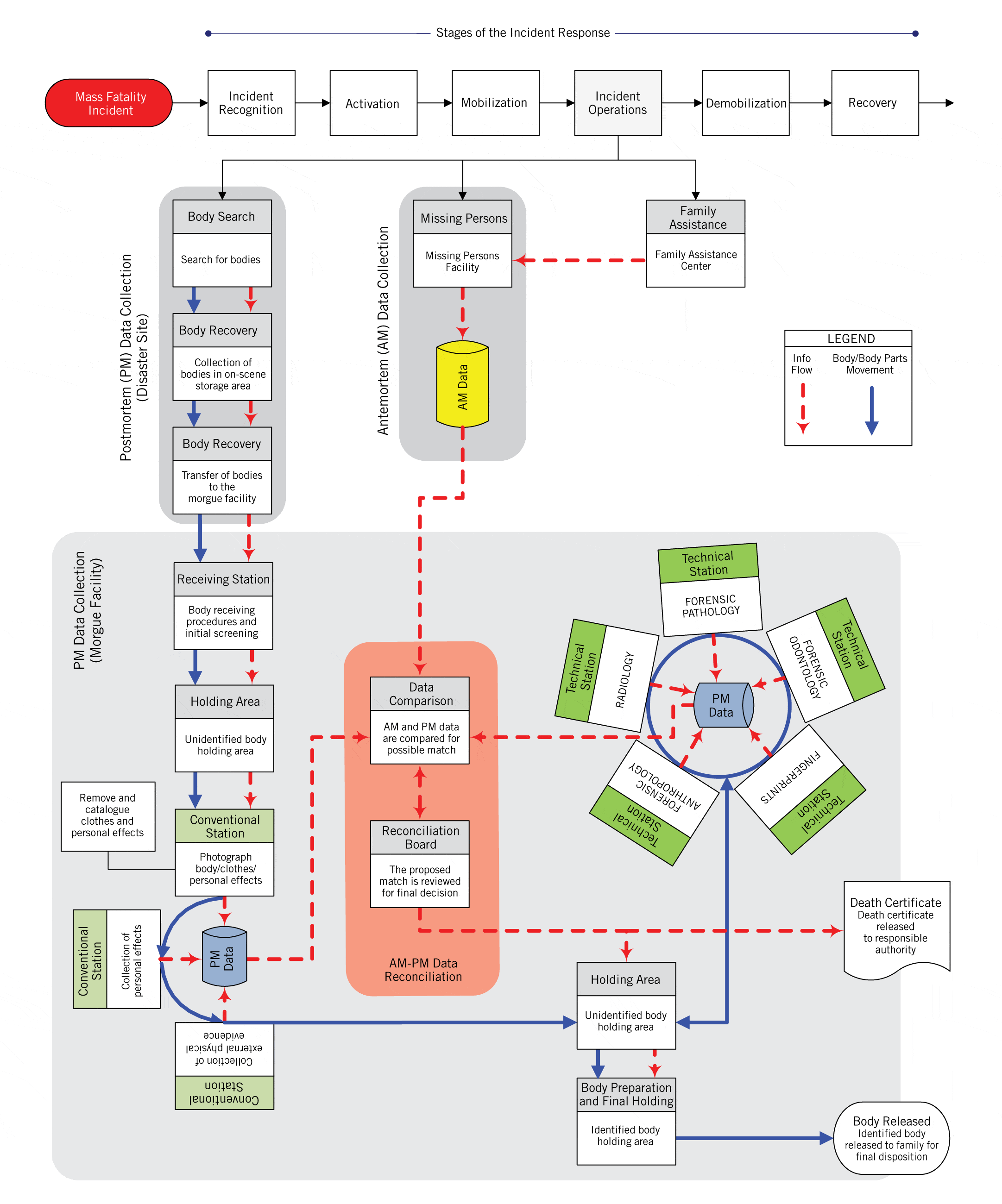 Rapid Disaster Victim Identification in Mass Fatality Incidents ...