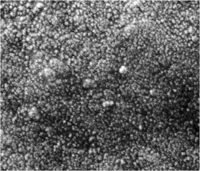Effect of deposition time on wear and corrosion performance of Co–Ni–Fe ...
