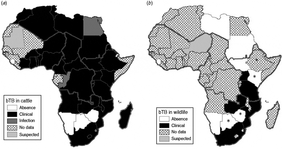 A review of bovine tuberculosis at the wildlife–livestock–human ...
