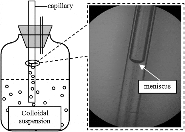 Evaporation-induced self-assembly of capillary cylindrical colloidal ...