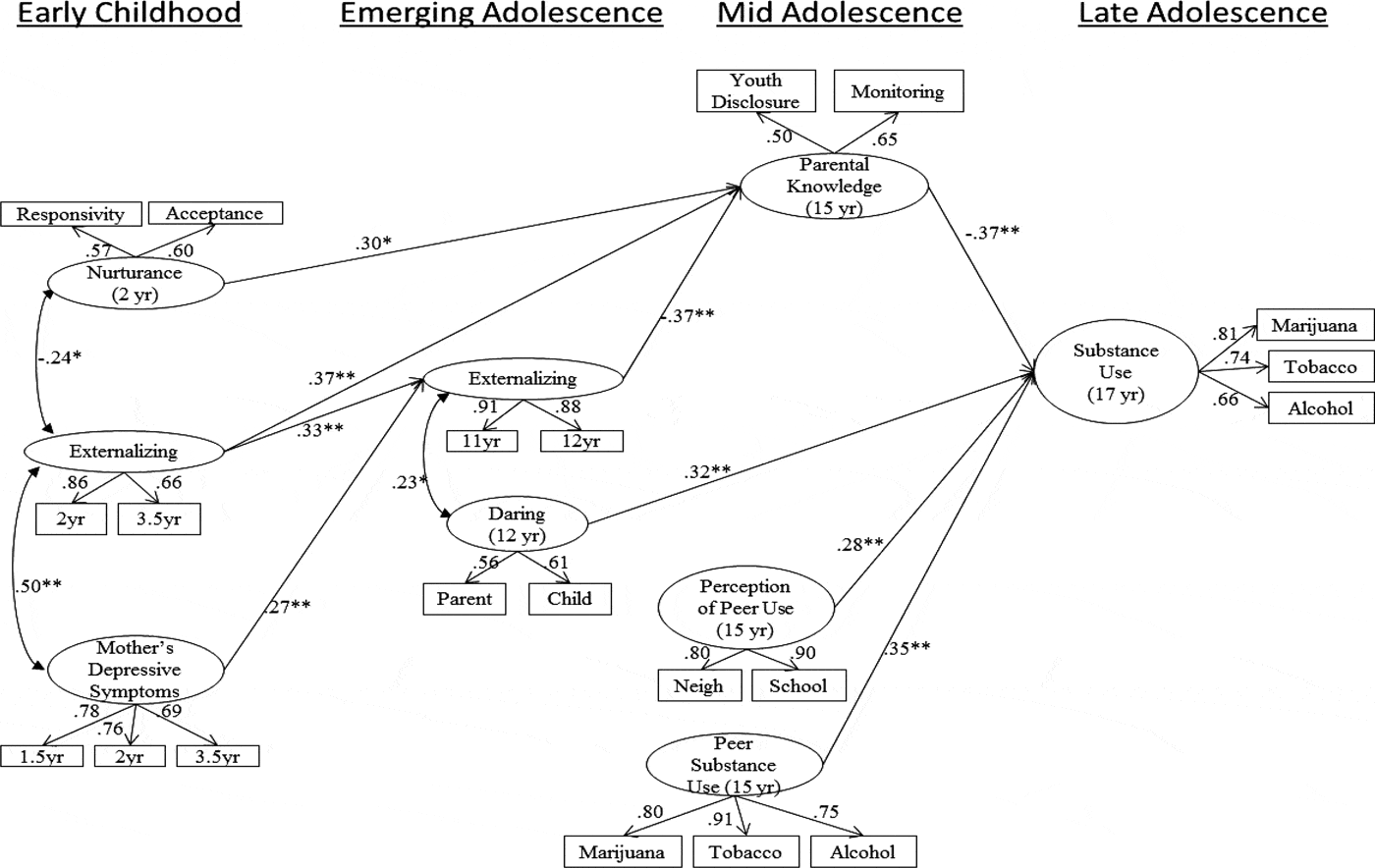 Precursors of adolescent substance use from early childhood and early ...