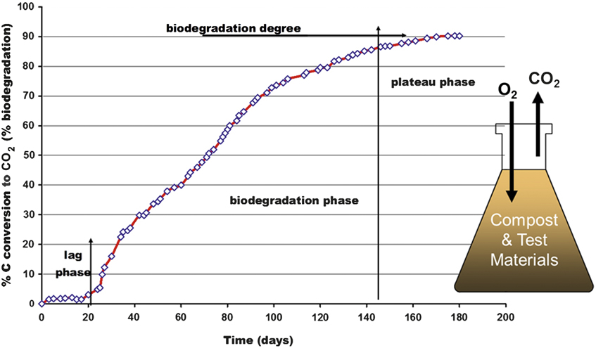 Carbon footprint of bioplastics using biocarbon content analysis and ...