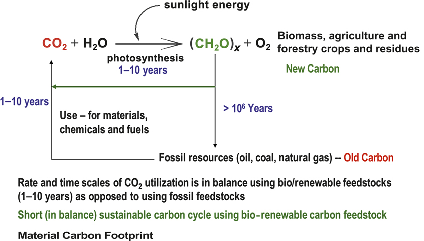 Carbon footprint of bioplastics using biocarbon content analysis and ...