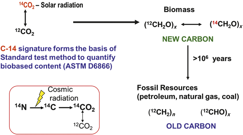 Carbon footprint of bioplastics using biocarbon content analysis and ...