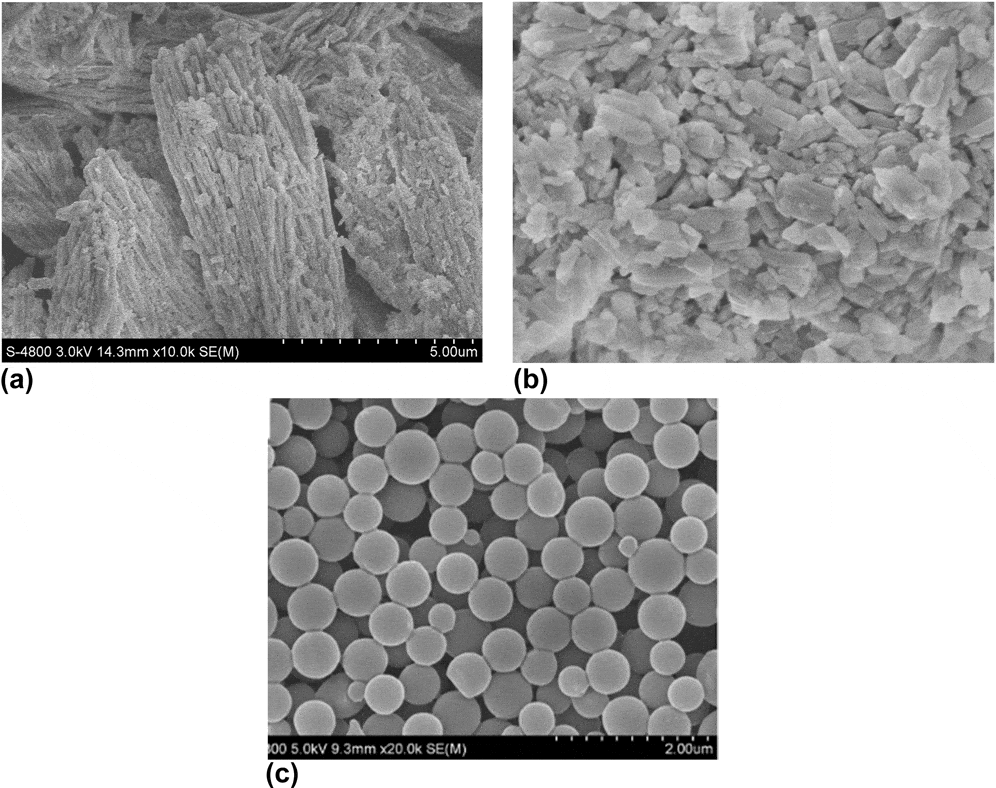 Encapsulation of modified pigment yellow 110 (PY110) for ...