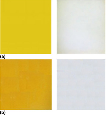 Encapsulation of modified pigment yellow 110 (PY110) for ...