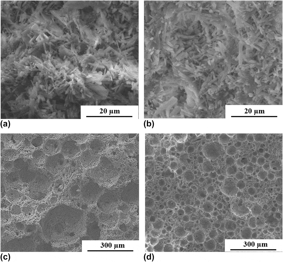 Direct foaming and seeding of highly porous, lightweight gypsum ...