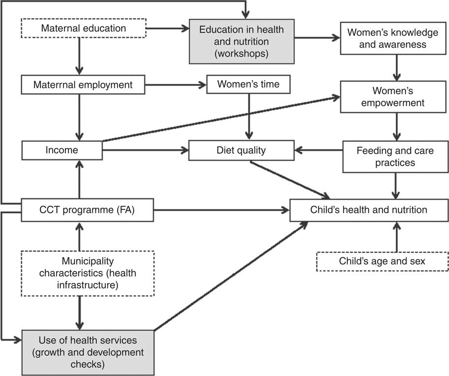 The impact of a conditional cash transfer programme on determinants of ...