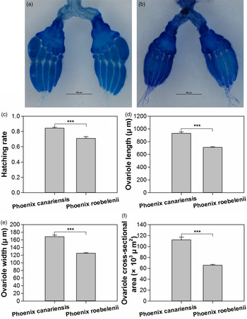 Molecular cloning and expression of the vitellogenin gene and its ...