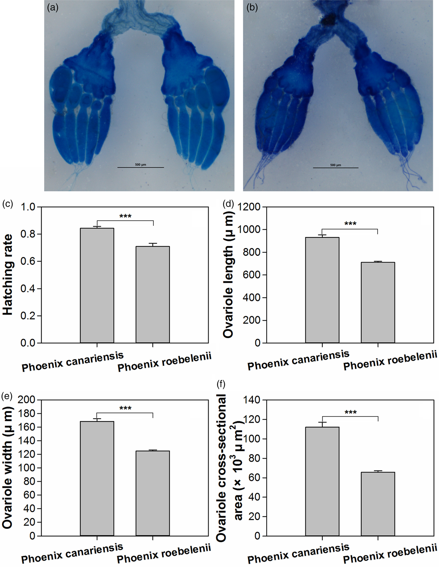 Molecular cloning and expression of the vitellogenin gene and its ...