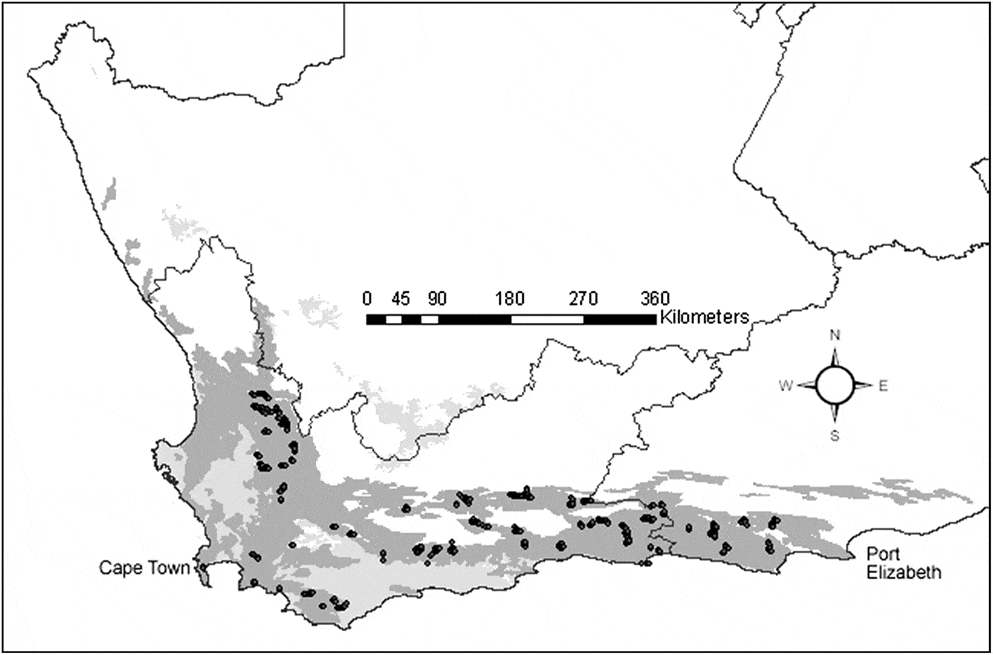 Endemic birds of the Fynbos biome: a conservation assessment and ...