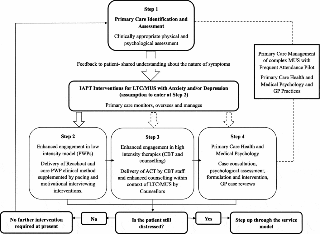 Developing Services for Patients with Depression or Anxiety in the ...