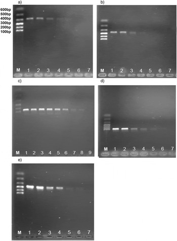 COI barcode based species-specific primers for identification of five ...