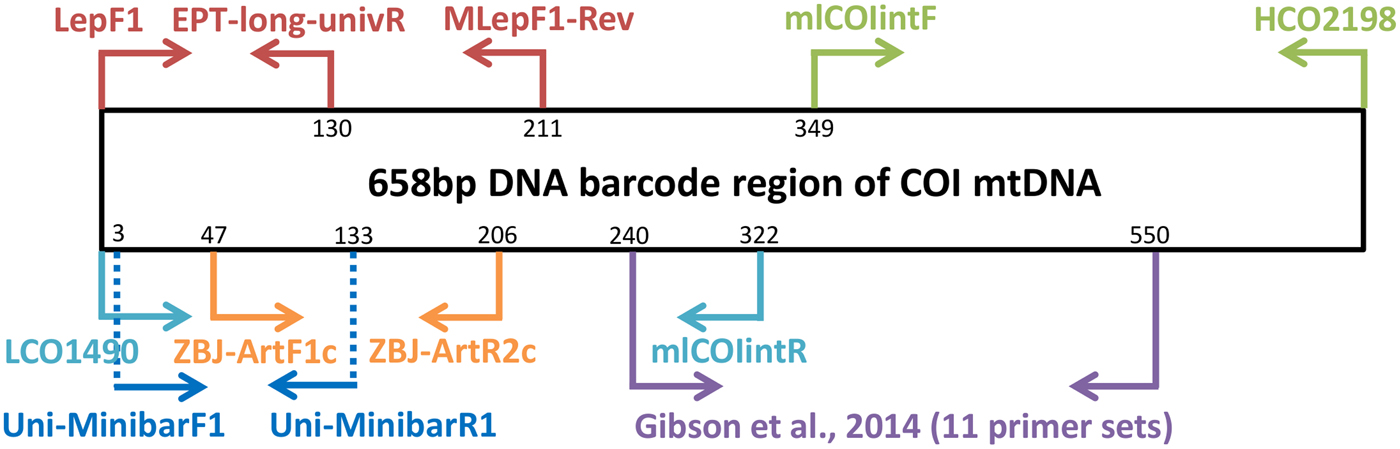 DNA metabarcoding of insects and allies: an evaluation of primers and ...