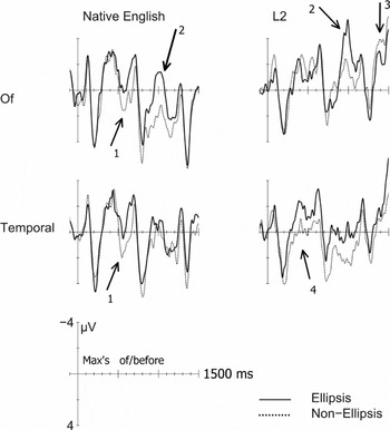 Prediction and integration in native and second-language processing of ...