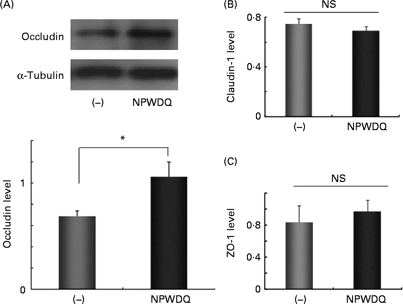 The casein peptide Asn-Pro-Trp-Asp-Gln enforces the intestinal tight ...