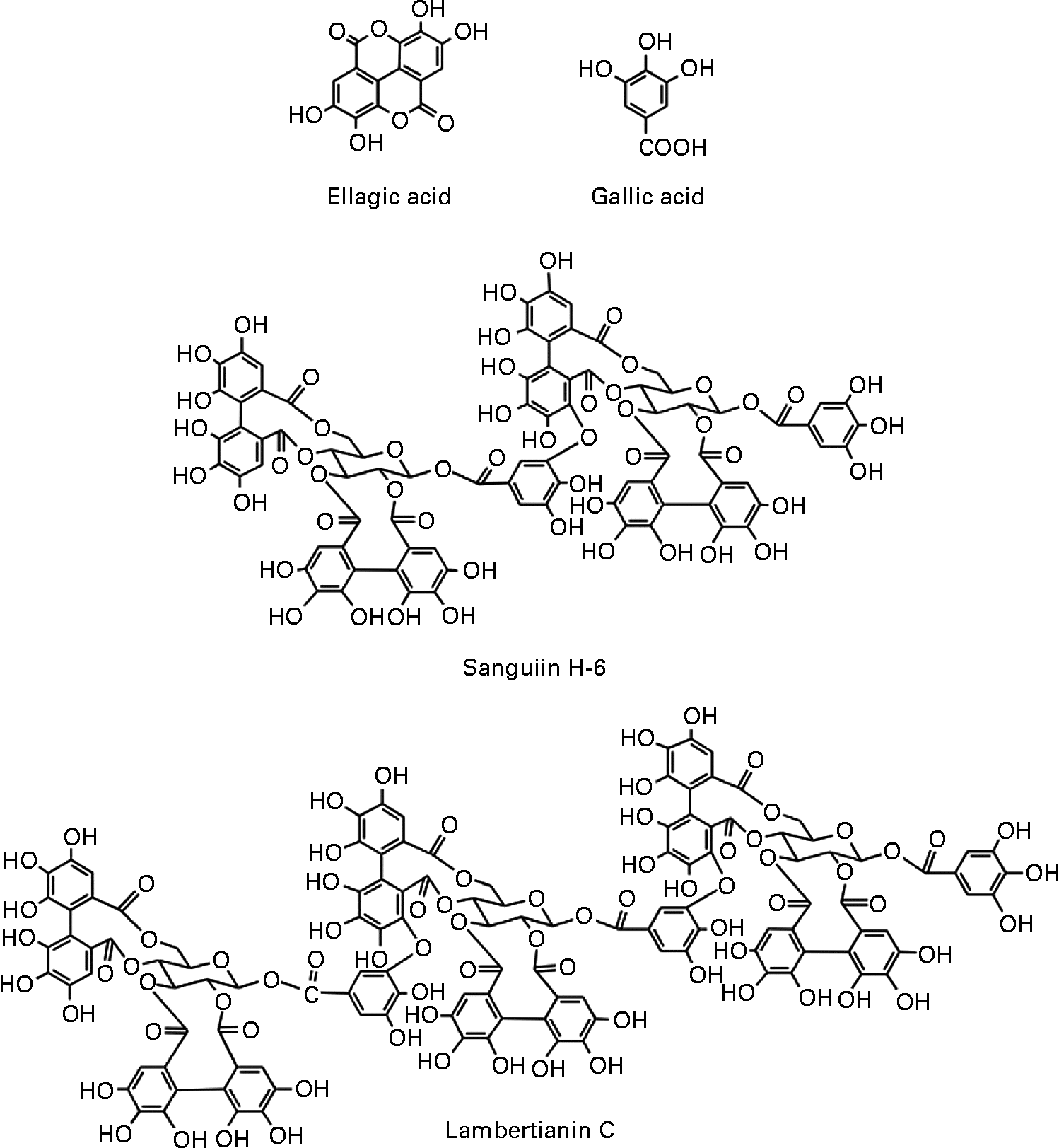 Berry flavonoids and phenolics: bioavailability and evidence of ...
