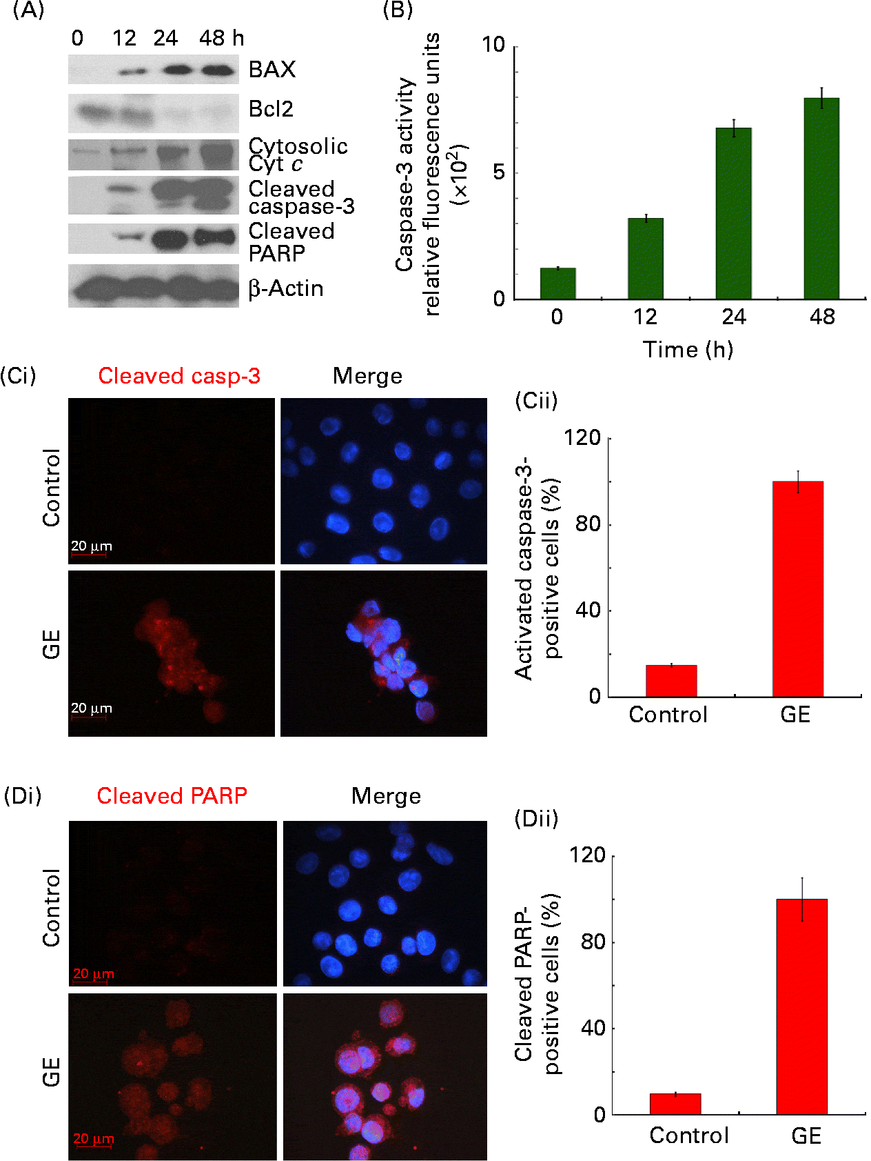 Benefits of whole ginger extract in prostate cancer | British Journal ...