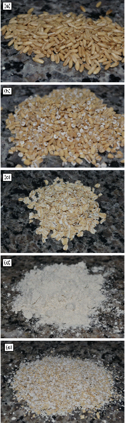 Processing of oats and the impact of processing operations on nutrition ...