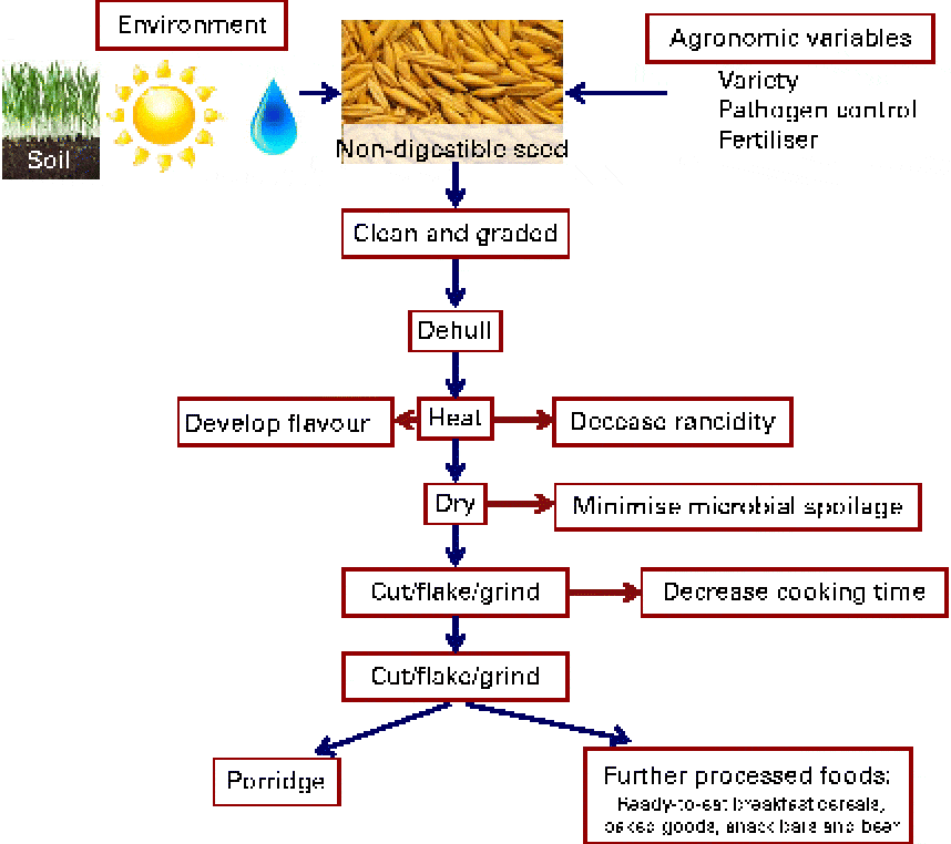 Processing of oats and the impact of processing operations on nutrition ...