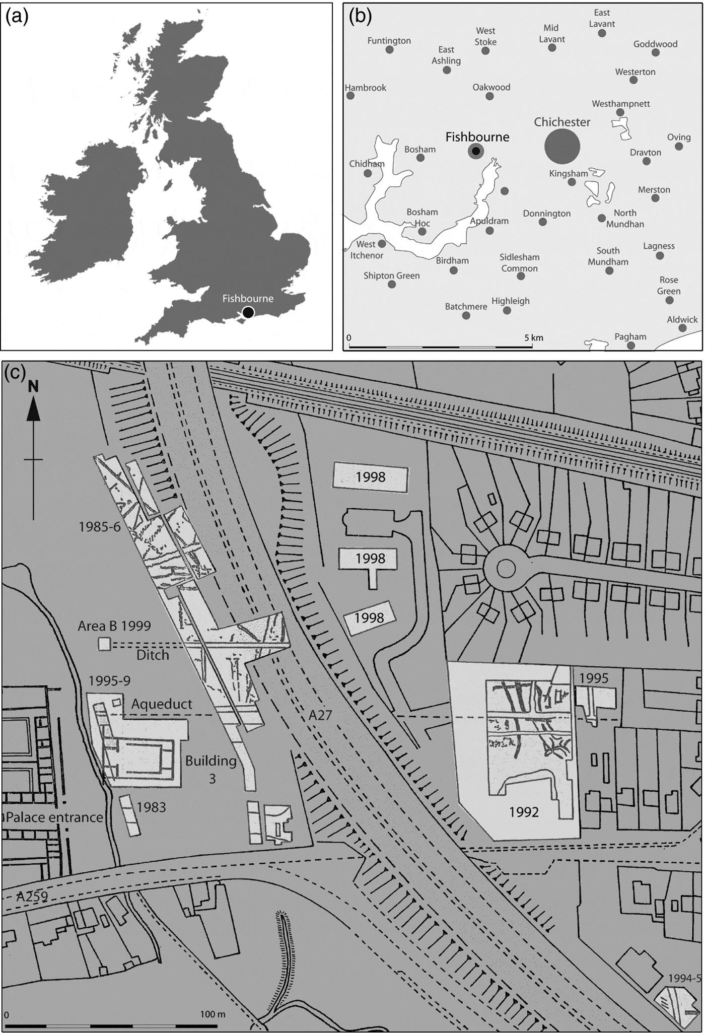 Note from the Roman Palace at Fishbourne (Sussex): A Roman Magic Lead ...